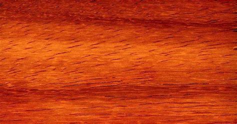 Padouk Callens African Woods