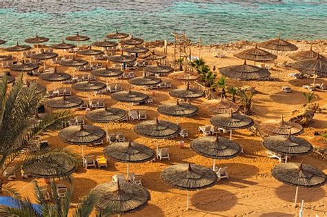 많은 우산과 홍 해의 맑은 물과 아름 다운 해변의 멋진 풍경 볼 수 있습니다 유명한 관광지 장소와 이집트에 여행 목적지입니다 시 나이 샤 름 엘 셰이크 경관에 대한 스톡