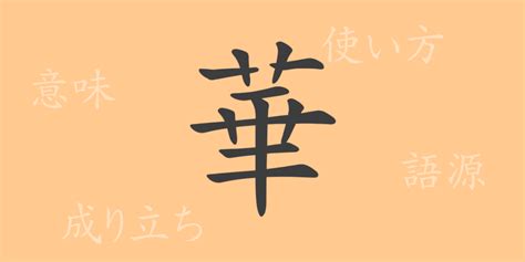 Nippolle