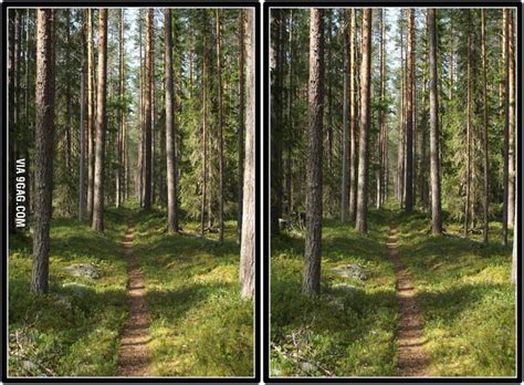 Just Find The Right Spot Cross Your Eyes And Tadaa Magic 9gag