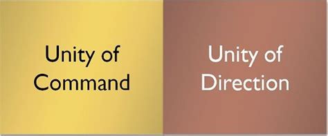 Difference Between Unity Of Command And Unity Of Direction With Comparison Chart Key Differences