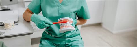 Choosing The Best Toothpaste A Comprehensive Guide