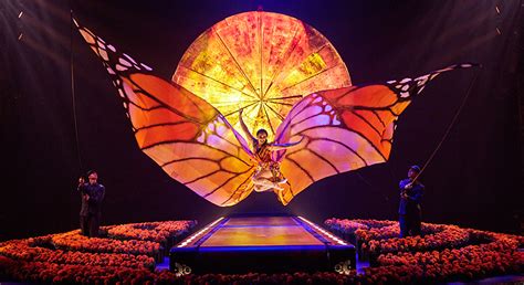 Le cirque du soleil revient à Londres avec son nouveau spectacle Luzia