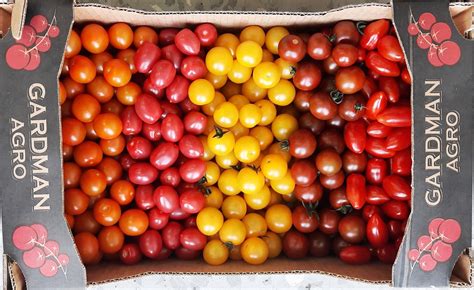 «Ազգային արժեք ակումբ Ելնելով Սիրո և համերաշխության հեղափոխության ներկա հանգրվանից՝ Գյումրու