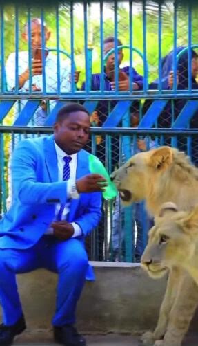 Fact Check The Real Story Behind The Viral Pastor Daniel And Lions