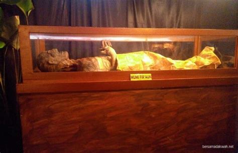 Inilah Foto Mumi Firaun Dan Tongkat Nabi Musa Yang Dipamerkan Di Ibf
