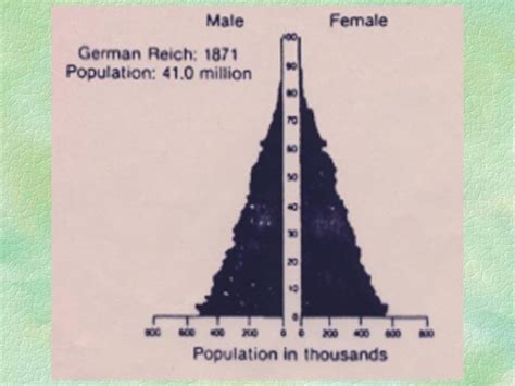 Population Pyramids And The Demographic Transition Ppt Download