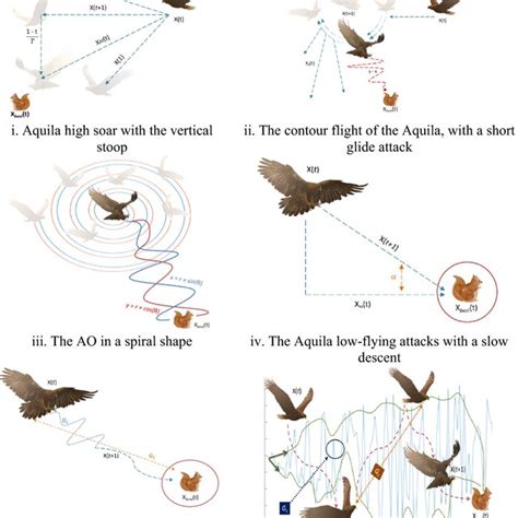 the schematic view of the oa algorithm download scientific diagram