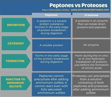 Peptones Vs Proteoses Tabular Form Functional Group Different Solutions
