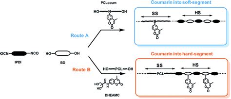 Synthetic Routes For The Preparation Of Coumarin Functionalized