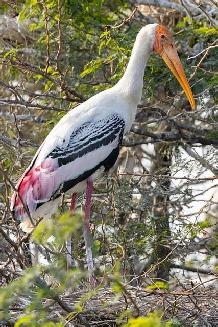 Change Default Name For One Report Articles Ibi Community