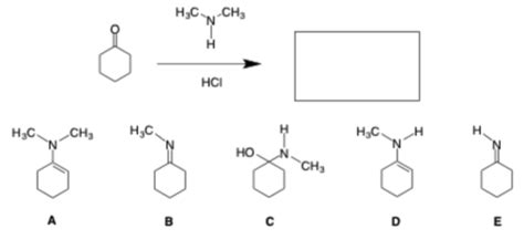 Solved H3C N CH3 н HCI H3C CHE HC H2C N N НО CHE А B с D E Chegg com