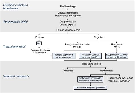 Guía De Diagnóstico Y Tratamiento De La Hipertensión Pulmonar Resumen