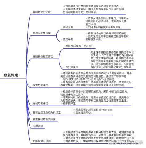 脊髓损伤康复评定（10对关键肌28个关键点）