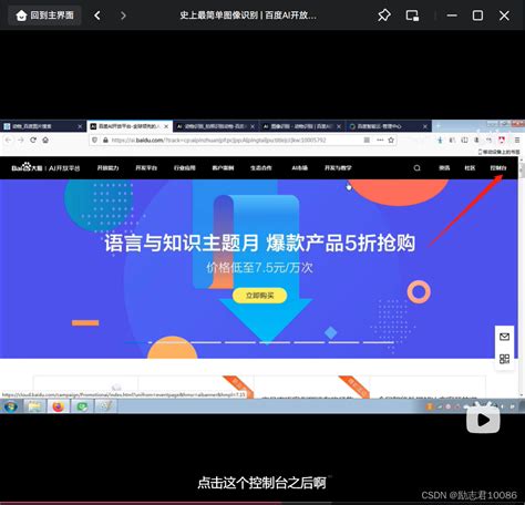 百度ai开放平台 qt图像识别（p1 百度ai 图像识别 p2 图像编码处理 p3 获取access token p4 图像处理结果
