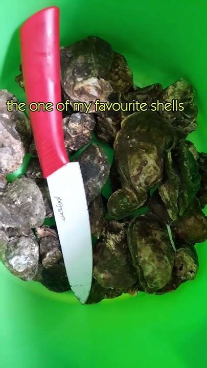 The One Of My Favourite Sheels Youtube