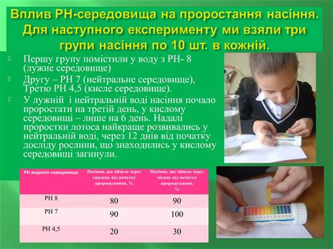 Вивчення умов проростання насіння лотоса горіхоносного Ppt