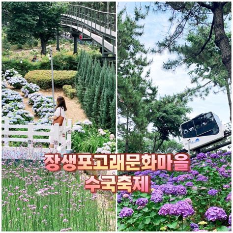[울산] 장생포 고래문화마을 수국축제 이번주말은여기 네이버 블로그