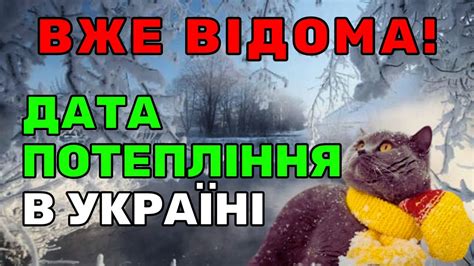 ТЕПЛО В СІЧНІ Коли в Україну прийде потепління Погода в Україні 2024