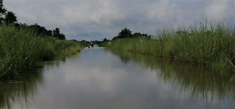 တနိုင်းမြို့နယ်အတွင်းရှိ လမ်းရေကျော်မှုများထပ်မံဖြစ်ပွား၍ ယာဉ်လမ်းကြောင်းများ ယာယီပြတ်တောက်ခဲ့