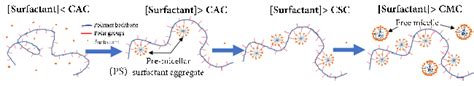 Scheme 1 Schematic Illustration Of Typical Polymersurfactant