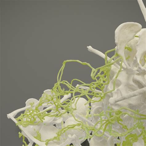 3d Letter J Bones Skeleton Turbosquid 1546141