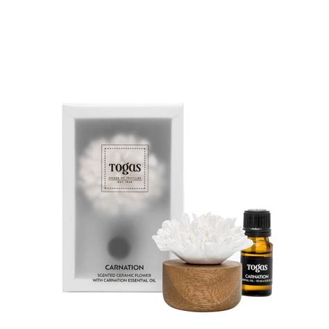 Саше Togas Гвоздика - купить по выгодной цене в интернет-магазине OZON ...