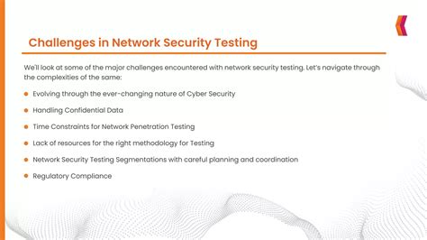 network security testing company pdf