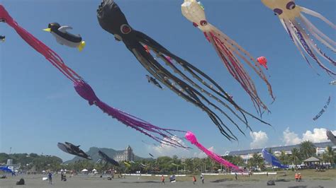 旗津風箏節限定登場 大型海洋生物空中悠遊 Yahoo奇摩時尚美妝