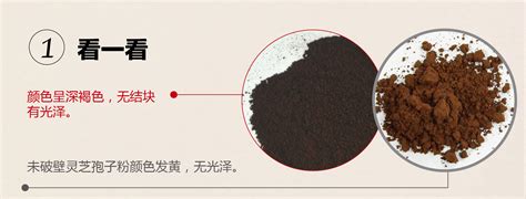 破壁灵芝孢子粉的的辨别方法有哪些 菇新灵芝为您讲解