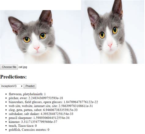 Deep Learning Incorrect Predictions When Using The Keras Pre Trained