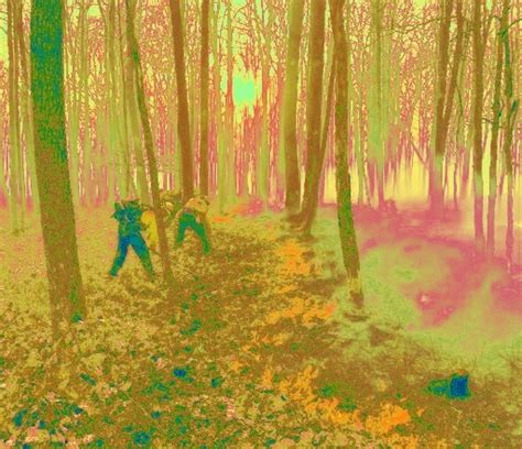 Survffs Object Detection Model By Vinnu