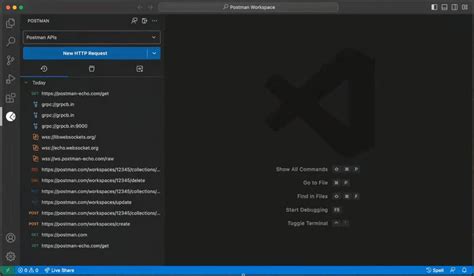 Sudeer Kamat On Linkedin Vscode Salesforce Api Postman Sfdcsaga