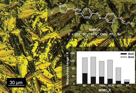 Liquid Crystals Vol 51 No 15