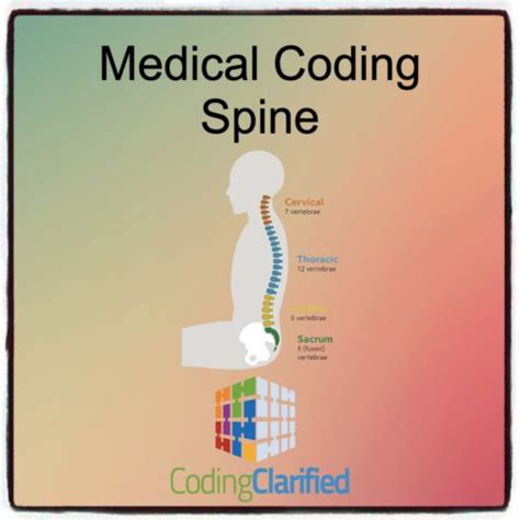Medical Coding Spine Coding Clarified