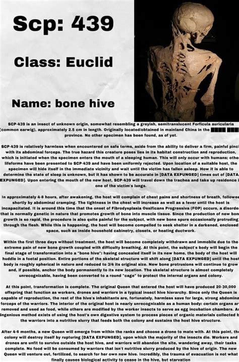 Scp 439 Class Euclid Name Bone Hive Scp 439 Common An Insect Of