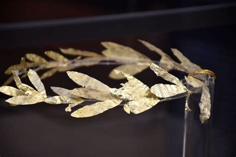 Чл кор Евелина Славчева е новият председател на БАН Българска академия на науките