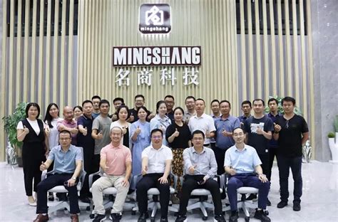 Ms Vd201 A Blind Spot Detection Device With Bsd Collision Warning And Identification Functions