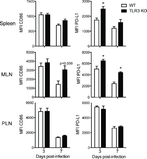 Dendritic Cell Activation After In Vivo Cvb3 Infection Is Altered By