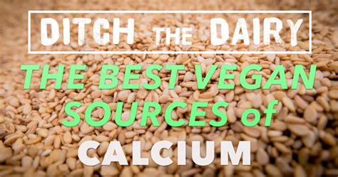 Ditch The Dairy The Best Vegan Sources Of Calcium Holistic Health For Life