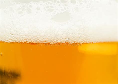 Light Beer In A Glass Before Consumption Stock Image Image Of Liquid