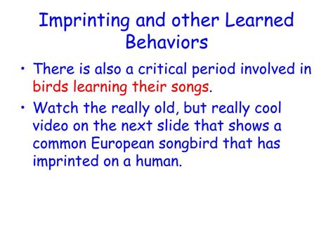Ppt Ap Bio Animal Behavior Podcast 2 Learned Behaviors Powerpoint