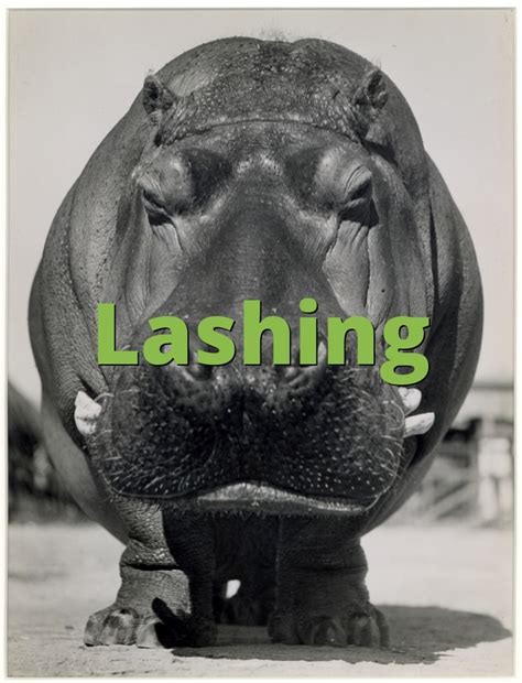 Lashing Meaning