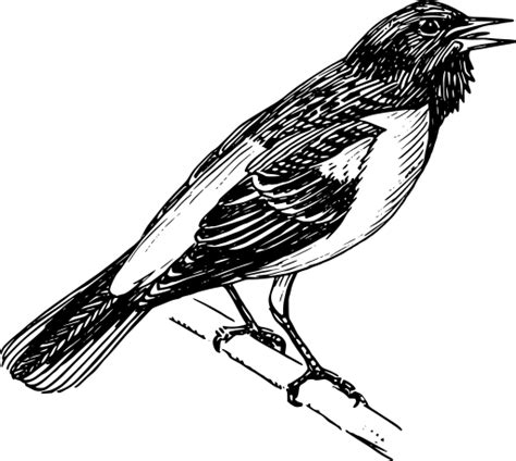 Svg Hand Bird Free Svg Image And Icon Svg Silh