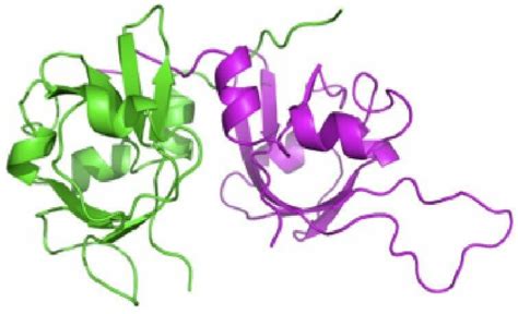 New Method Predicts Protein Motion From Static Structures