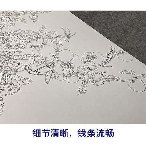 于非闇竖幅工笔花鸟白描底稿 柿子 事事如意 《丹柿》 多种白描尺寸可选 Yf48 桔舍