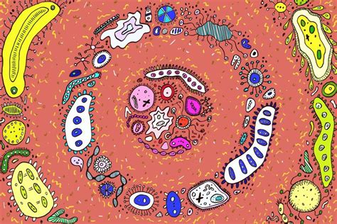 Gut Dysbiosis Recent Research On Causes Of Microbial Imbalance