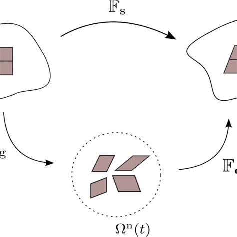 Schematics Of The Multiplicative Decomposition Of The Deformation