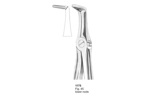 Extracting Forceps Mhs World Instruments