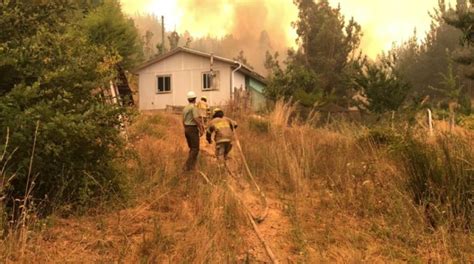 Incendios 112 Mil Hectáreas Quemadas Y Al Menos 13 Muertos